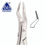 Forcep Dental #150 de 6b Invent - Deposito Dentalmex