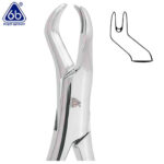Forcep #17 Marca 6b - Deposito Dentalmex