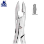 Forcep Dental #69 de 6b Invent - Deposito Dentalmex