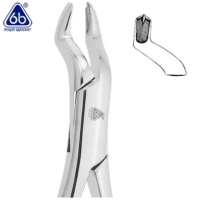 Forcep #53R de 6b invent - Deposito Dentalmex